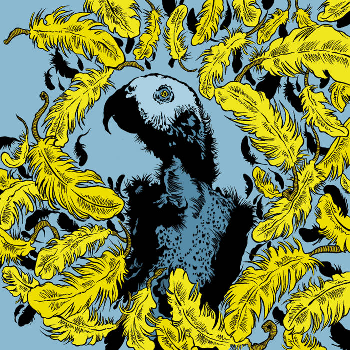 VANVERA & GOLDEN BIRDS - Gloom Age Plumage - Radiocoop